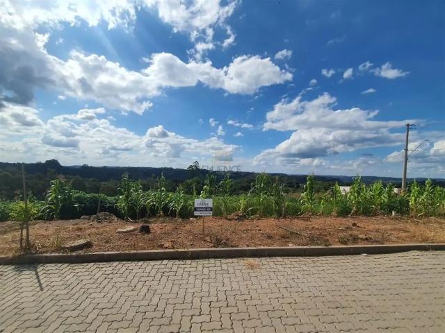 Terreno / Lote para Venda em Bento Gonçalves/RS São Roque
