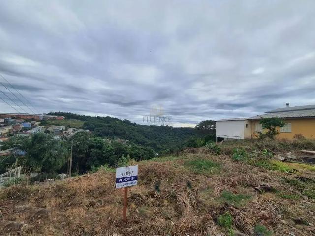 Terreno / Lote para Venda em Bento Gonçalves/RS São Roque