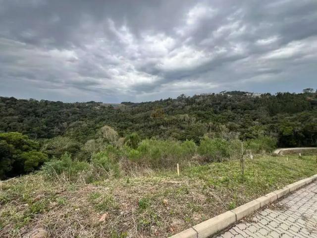 Terreno / Lote para Venda em Bento Gonçalves/RS São Roque