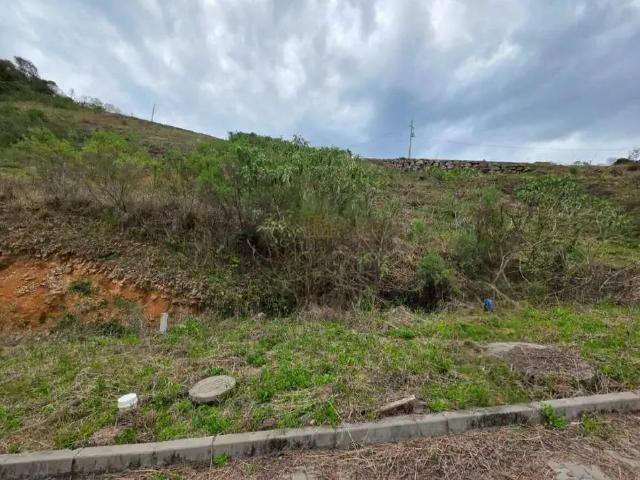 Terreno / Lote para Venda em Bento Gonçalves/RS São Roque