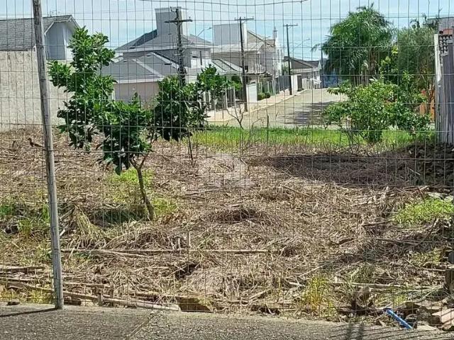 Terreno / Lote para Venda em Bento Gonçalves/RS São Roque