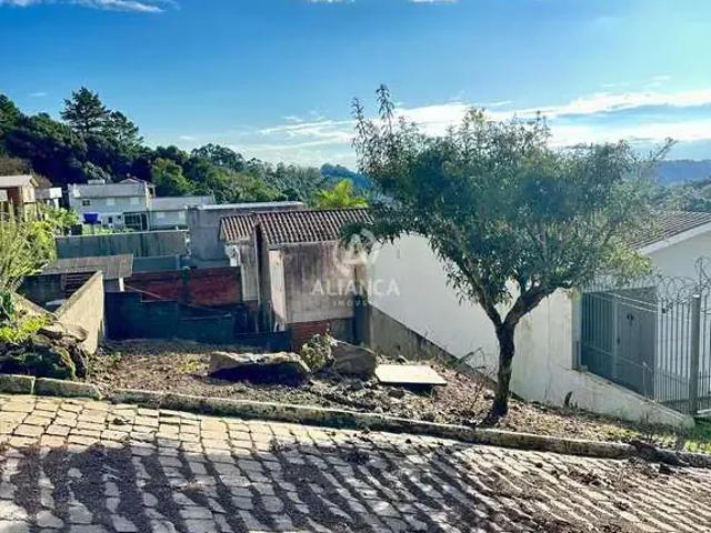 Terreno / Lote para Venda em Bento Gonçalves/RS São Roque