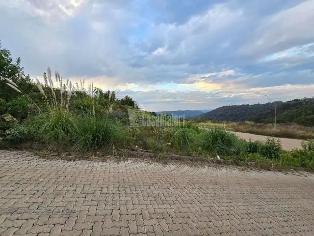Terreno / Lote para Venda em Bento Gonçalves/RS São Roque