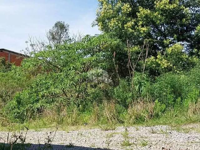 Terreno / Lote para Venda em Bento Gonçalves/RS São Roque