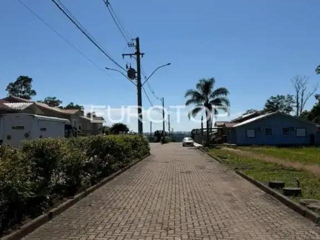 Terreno / Lote para Venda em Bento Gonçalves/RS São Roque