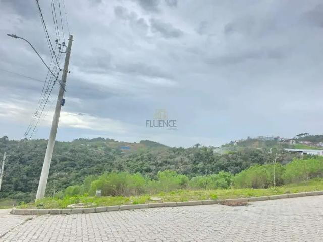 Terreno / Lote para Venda em Bento Gonçalves/RS São Roque