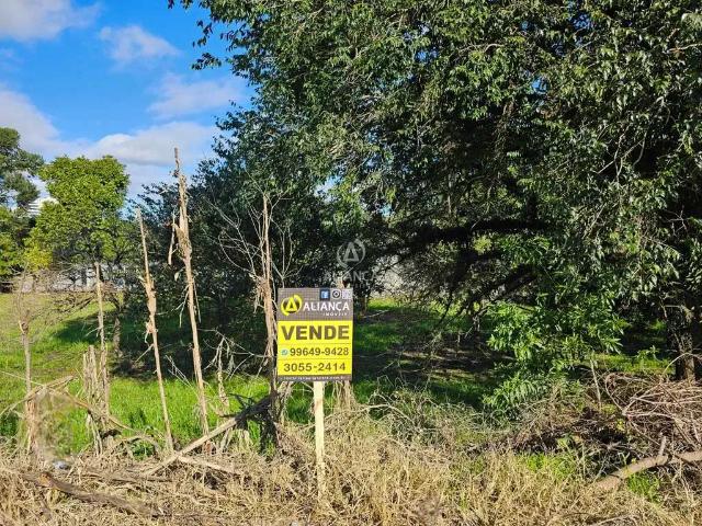 Terreno / Lote para Venda em Bento Gonçalves/RS São Roque