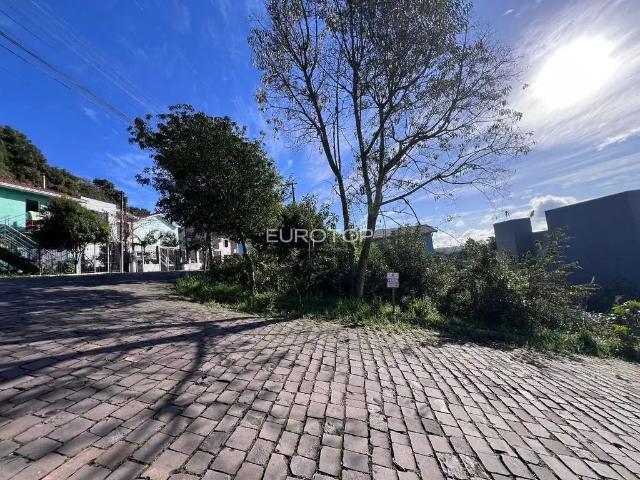 Terreno / Lote para Venda em Bento Gonçalves/RS São Roque