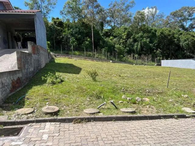 Terreno / Lote para Venda em Bento Gonçalves/RS São Roque