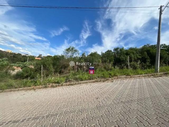 Terreno / Lote para Venda em Bento Gonçalves/RS São Roque