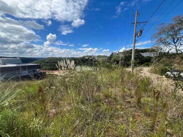 Terreno / Lote para Venda em Bento Gonçalves/RS São Roque