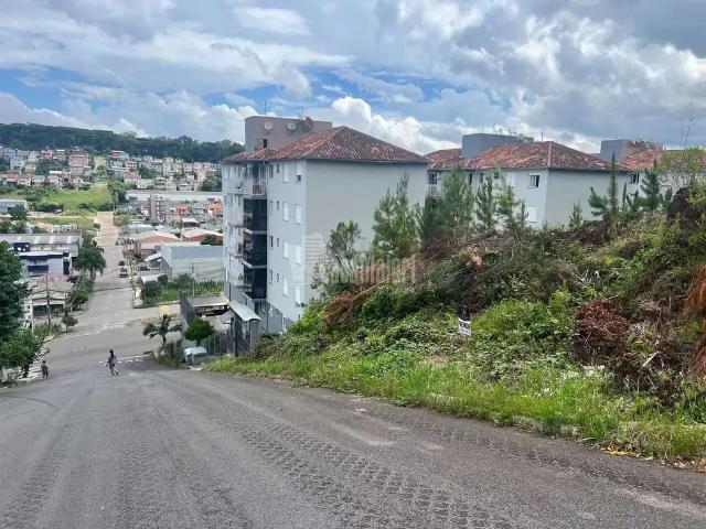 Terreno / Lote para Venda em Bento Gonçalves/RS São Roque