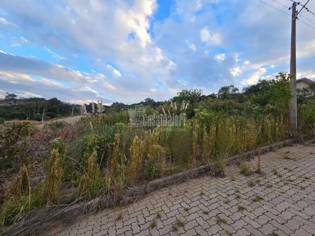 Terreno / Lote para Venda em Bento Gonçalves/RS São Roque