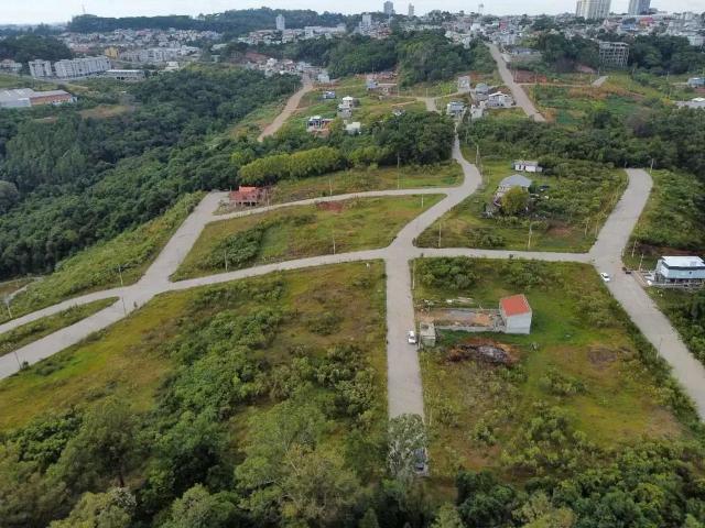 Terreno / Lote para Venda em Bento Gonçalves/RS São Roque