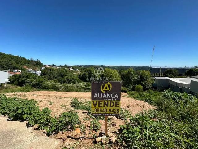 Terreno / Lote para Venda em Bento Gonçalves/RS São Roque