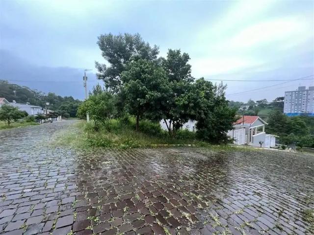 Terreno / Lote para Venda em Bento Gonçalves/RS São Roque
