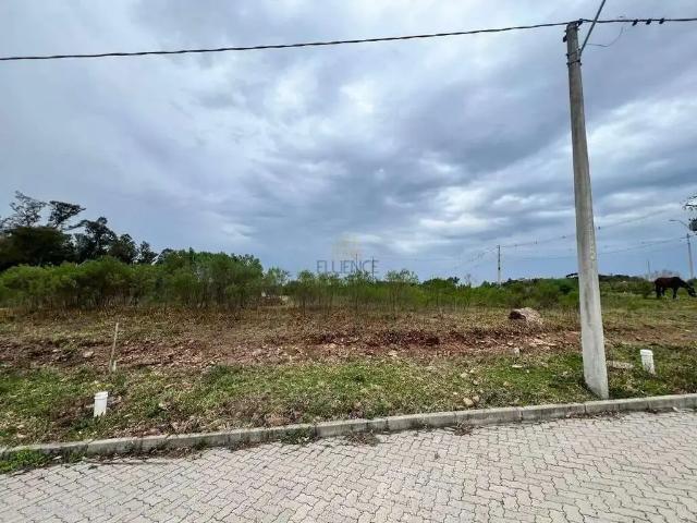 Terreno / Lote para Venda em Bento Gonçalves/RS São Roque