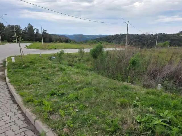 Terreno / Lote para Venda em Bento Gonçalves/RS São Roque