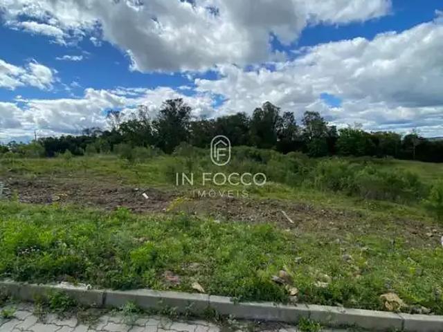 Terreno / Lote para Venda em Bento Gonçalves/RS São Roque