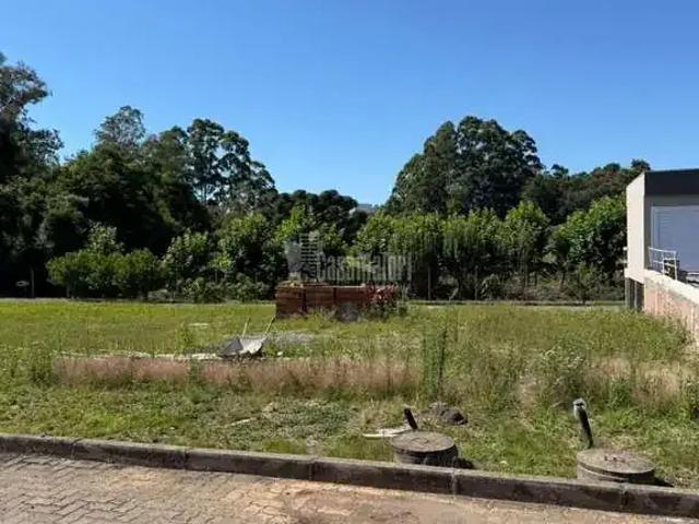 Terreno / Lote para Venda em Bento Gonçalves/RS São Roque