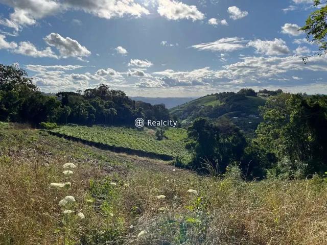 Terreno / Lote para Venda em Bento Gonçalves/RS São Valentin