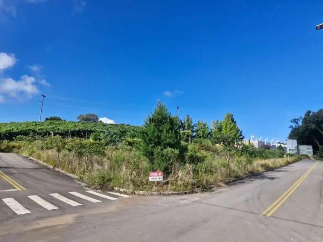 Terreno / Lote para Venda em Bento Gonçalves/RS São Valentin