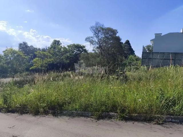 Terreno / Lote para Venda em Bento Gonçalves/RS São Valentin