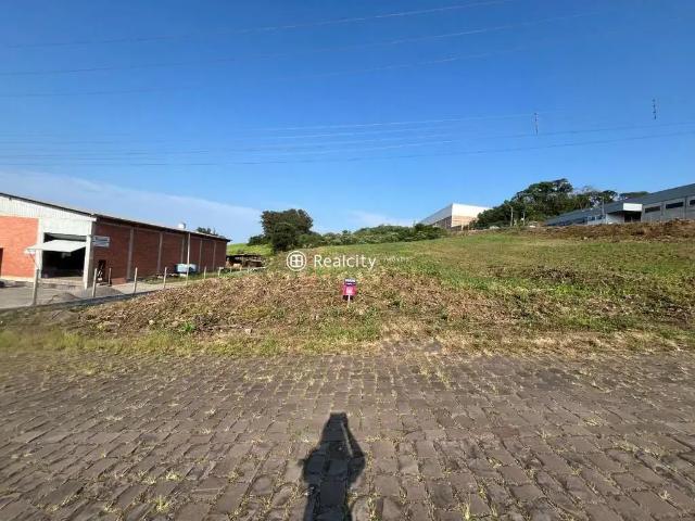 Terreno / Lote para Venda em Bento Gonçalves/RS São Valentin