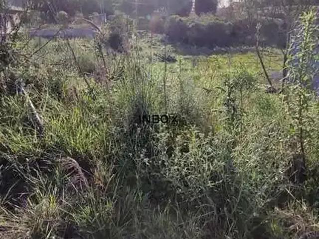 Terreno / Lote para Venda em Bento Gonçalves/RS São Valentin