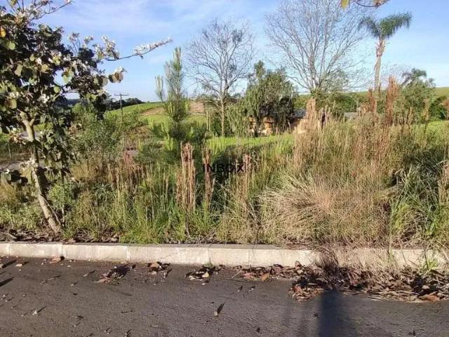 Terreno / Lote para Venda em Bento Gonçalves/RS São Valentin