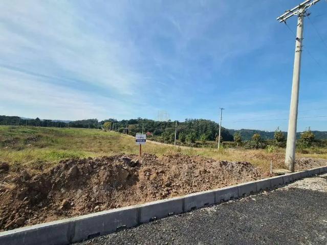 Terreno / Lote para Venda em Bento Gonçalves/RS São Valentin