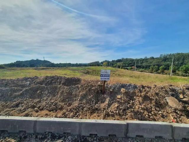 Terreno / Lote para Venda em Bento Gonçalves/RS São Valentin