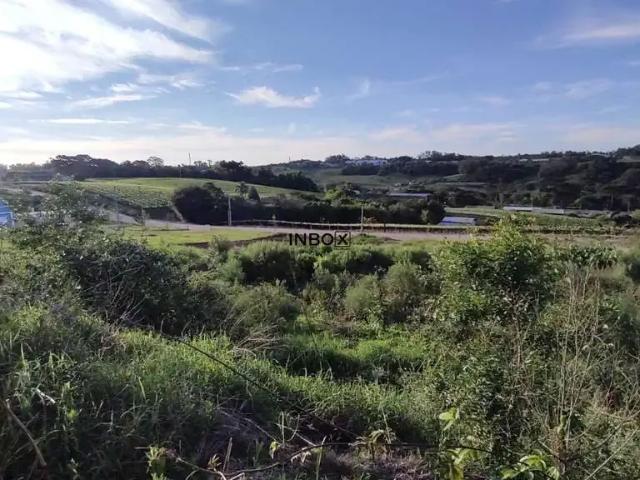 Terreno / Lote para Venda em Bento Gonçalves/RS São Valentin