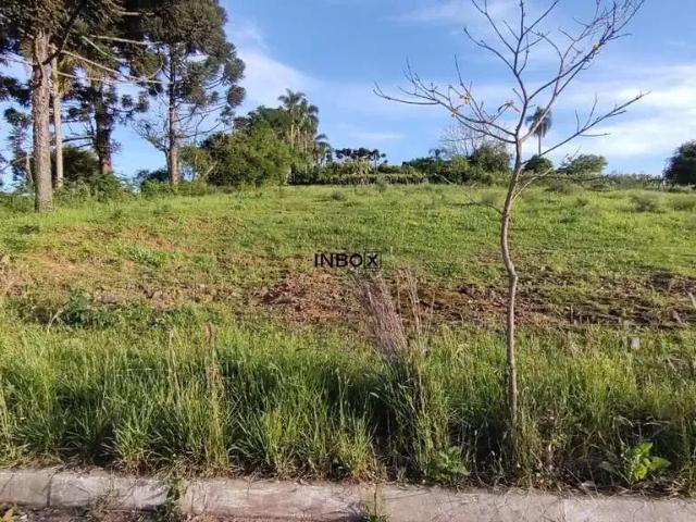 Terreno / Lote para Venda em Bento Gonçalves/RS São Valentin