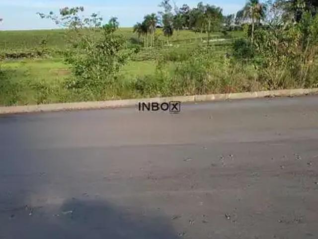 Terreno / Lote para Venda em Bento Gonçalves/RS São Valentin