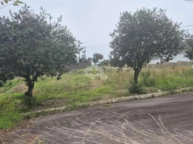 Terreno / Lote para Venda em Bento Gonçalves/RS São Valentin