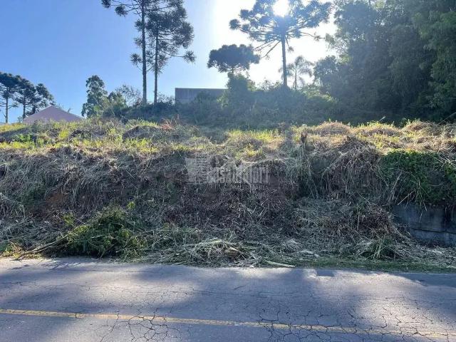 Terreno / Lote para Venda em Bento Gonçalves/RS São Valentin