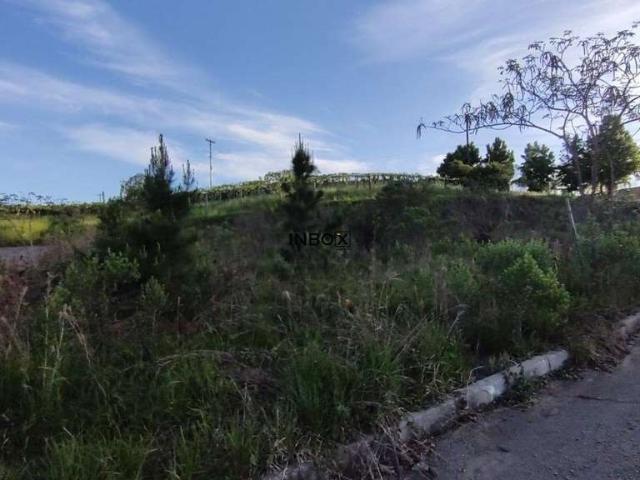 Terreno / Lote para Venda em Bento Gonçalves/RS São Valentin