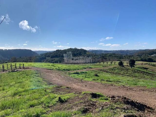 Terreno / Lote para Venda em Bento Gonçalves/RS São Valentin