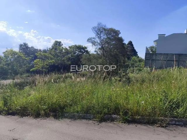 Terreno / Lote para Venda em Bento Gonçalves/RS São Valentin