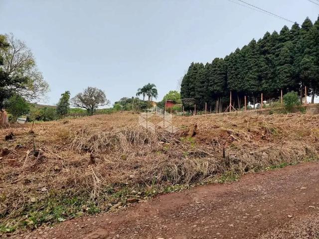 Terreno / Lote para Venda em Bento Gonçalves/RS São Valentin