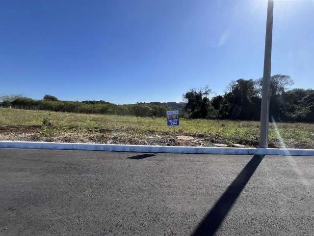 Terreno / Lote para Venda em Bento Gonçalves/RS São Valentin