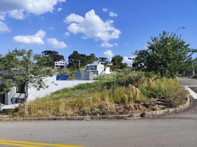 Terreno / Lote para Venda em Bento Gonçalves/RS São Valentin