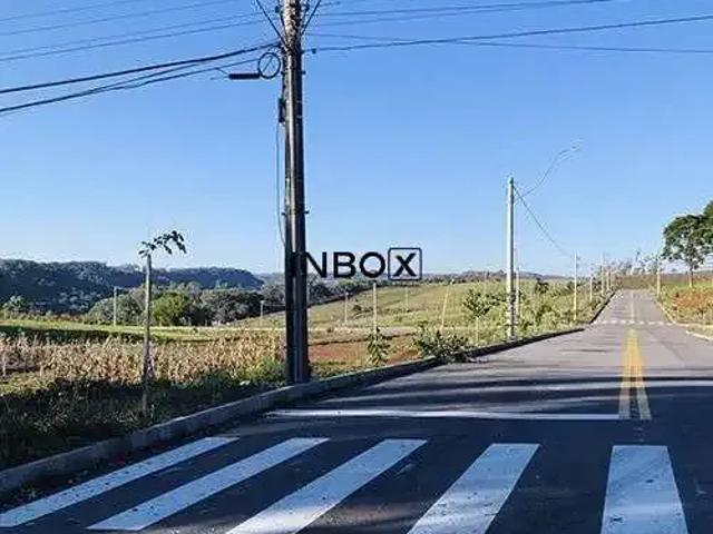 Terreno / Lote para Venda em Bento Gonçalves/RS São Valentin