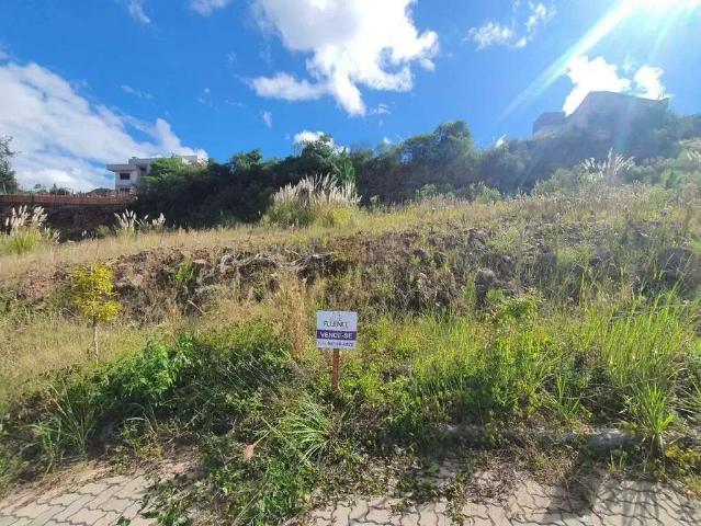 Terreno / Lote para Venda em Bento Gonçalves/RS Santa Helena