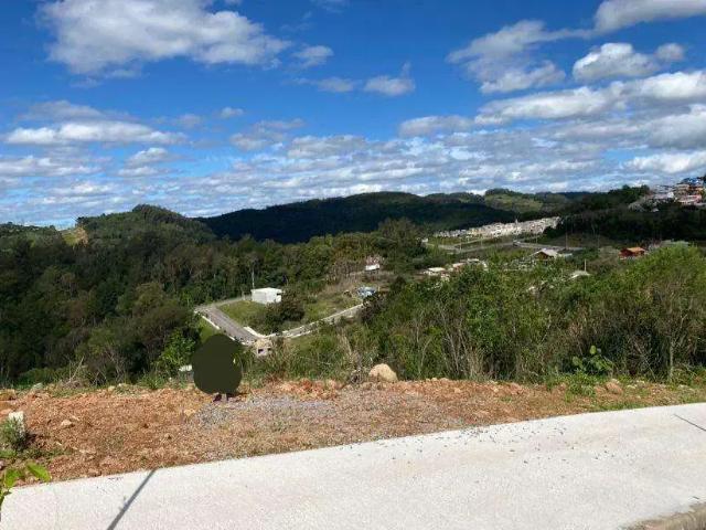 Terreno / Lote para Venda em Bento Gonçalves/RS Santa Helena
