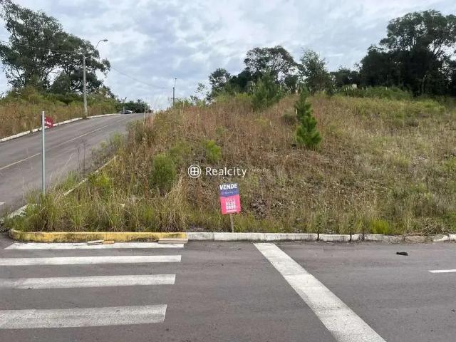Terreno / Lote para Venda em Bento Gonçalves/RS Santa Helena