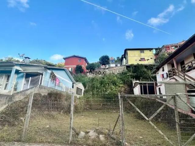 Terreno / Lote para Venda em Bento Gonçalves/RS Santa Helena