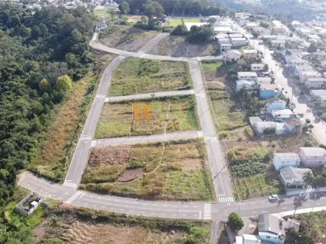 Terreno / Lote para Venda em Bento Gonçalves/RS Santa Helena