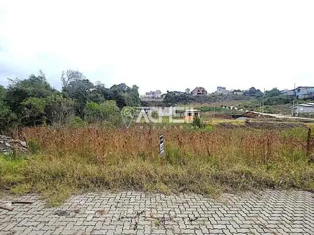 Terreno / Lote para Venda em Bento Gonçalves/RS Santa Helena